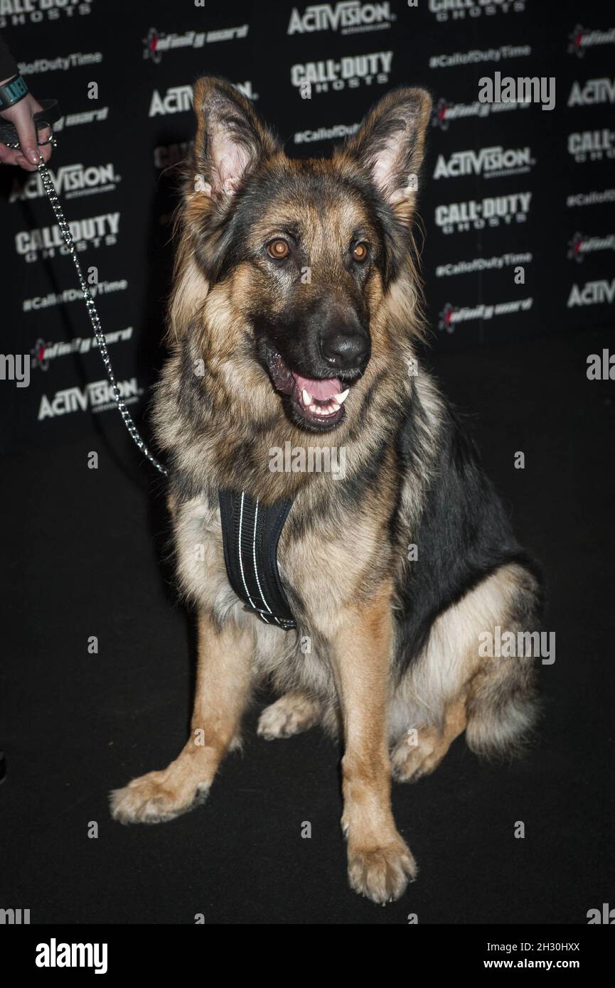 Call Of Duty Ghosts Doge