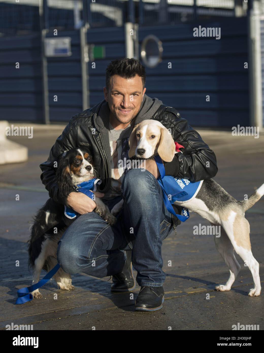 Peter Andre names two dogs at Battersea Dogs & Cats Home after the two ...
