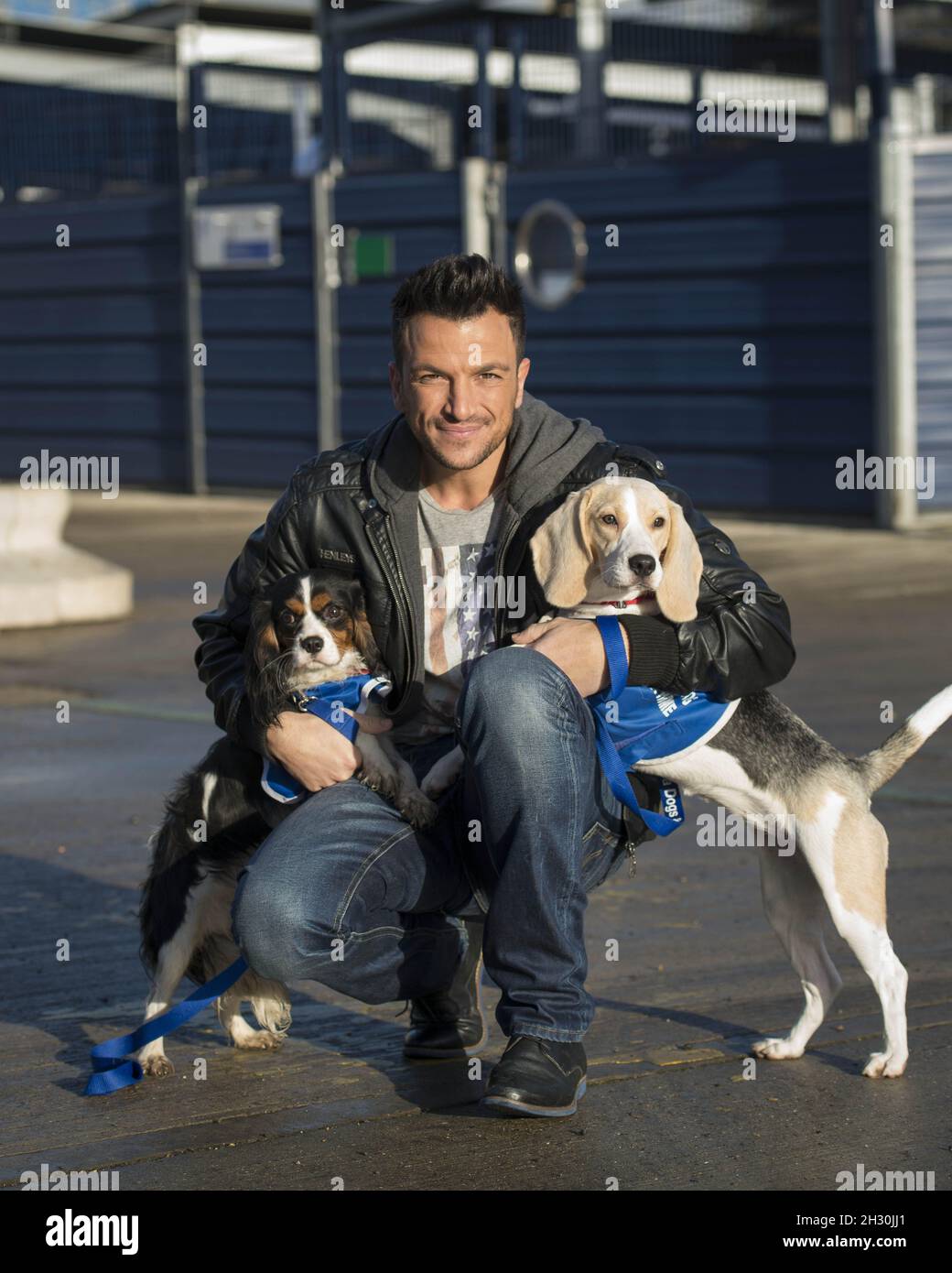Peter Andre names two dogs at Battersea Dogs & Cats Home after the two ...