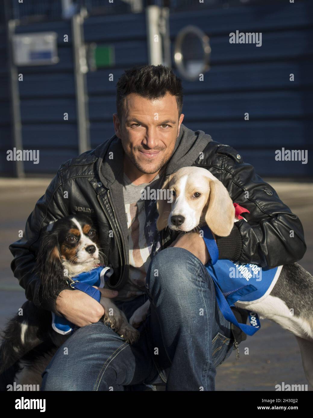 Peter Andre names two dogs at Battersea Dogs & Cats Home after the two ...