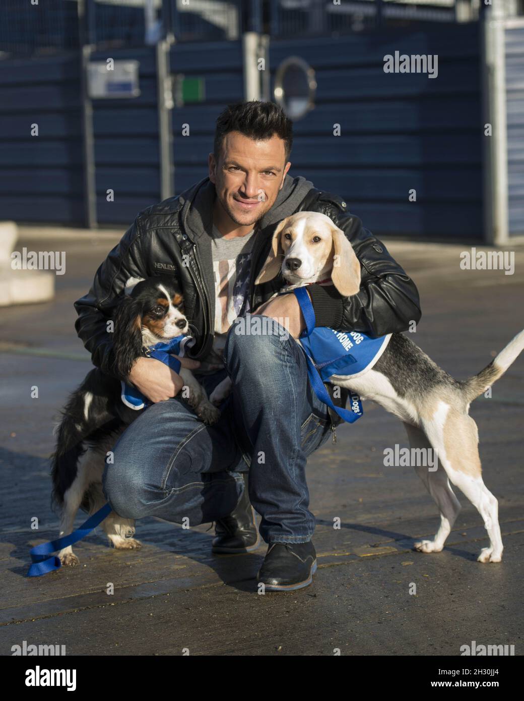 Peter Andre names two dogs at Battersea Dogs & Cats Home after the two ...