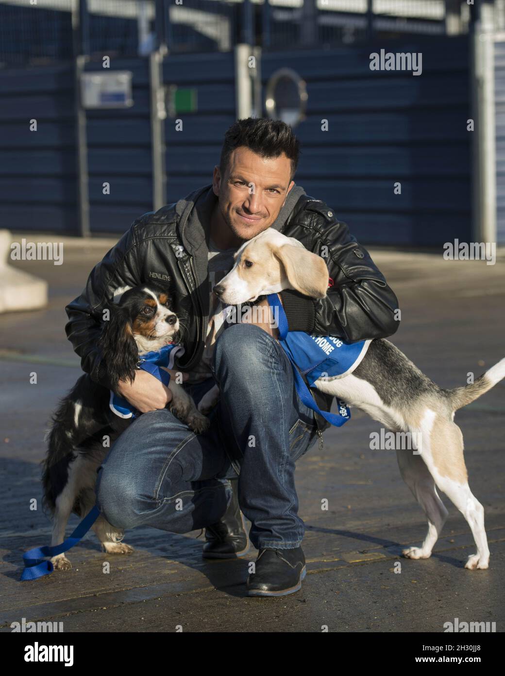 Peter Andre names two dogs at Battersea Dogs & Cats Home after the two ...