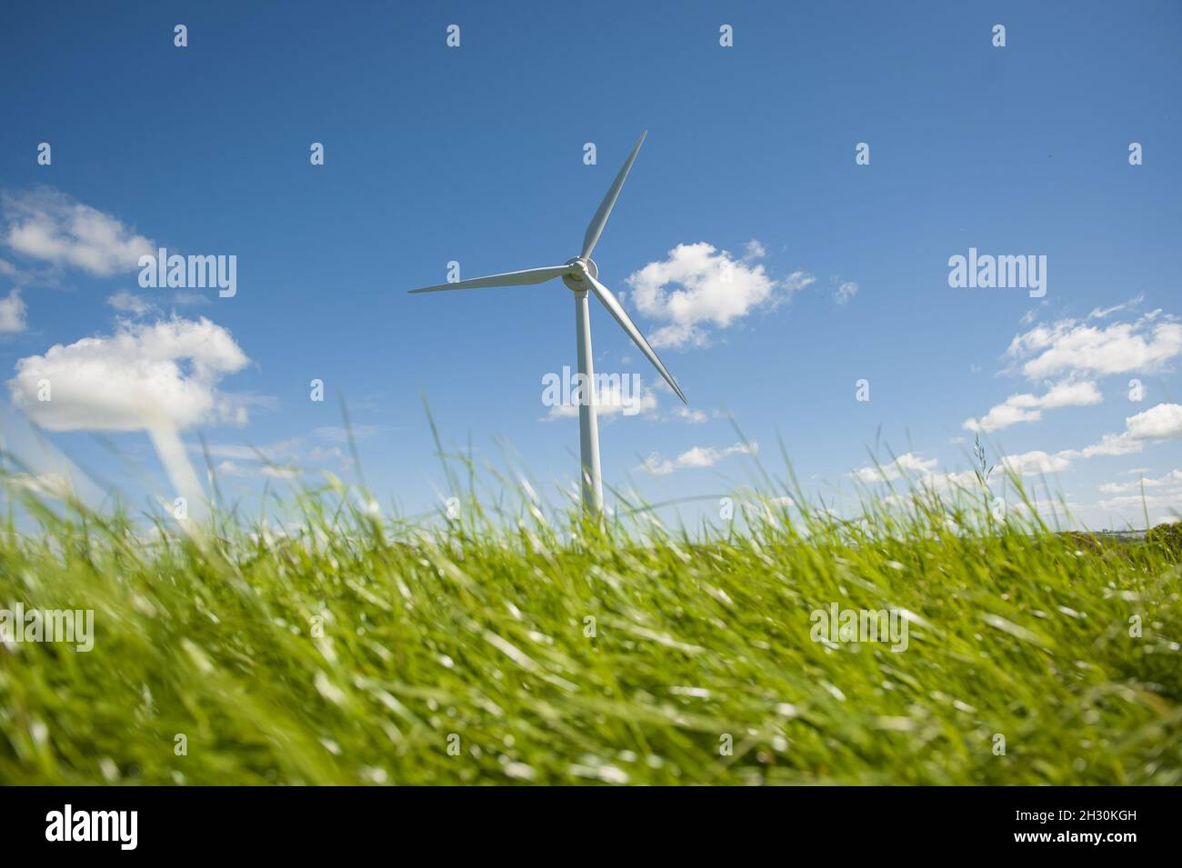 General View of a wind turbine, at Lifton Farm, Cornwall Stock Photo ...