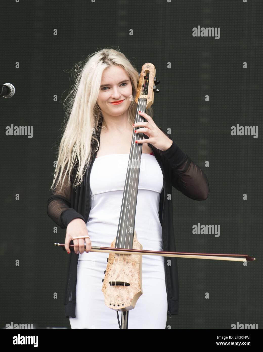 Clean Bandit Violinist