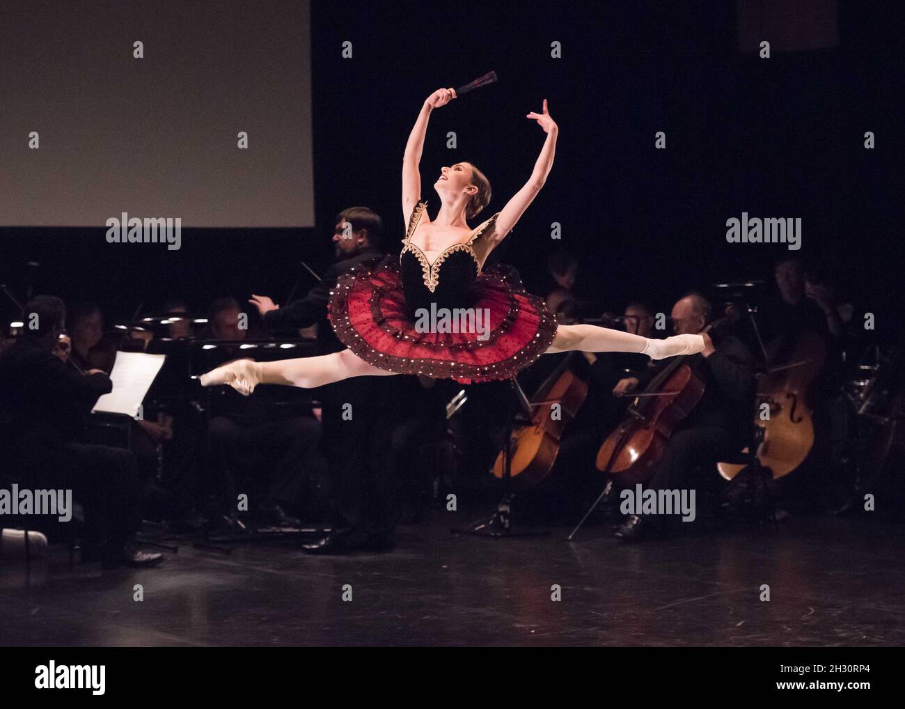 Isabella Brouwers rehearses Don Quixote in English National Ballet's ...