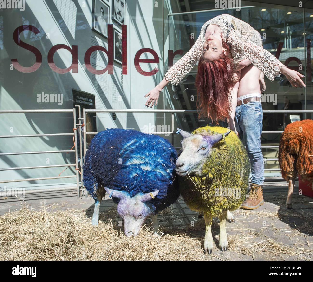 Latitude Sheep come to Sadler's Wells to celebrate 10 years of the ...