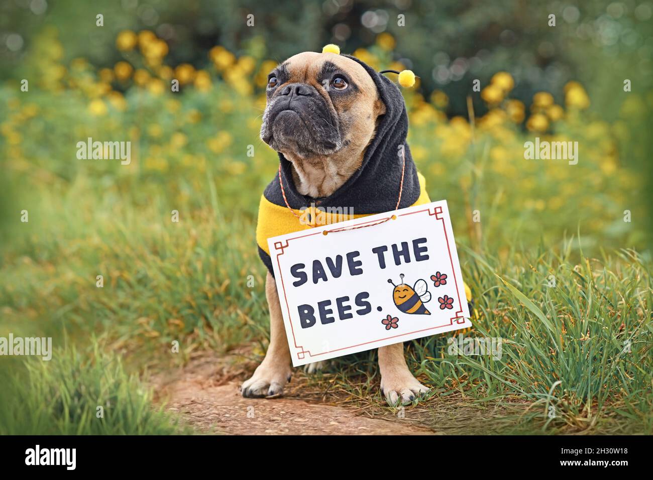 French Bulldog dog wearing bee costume with demonstration sign saying ...
