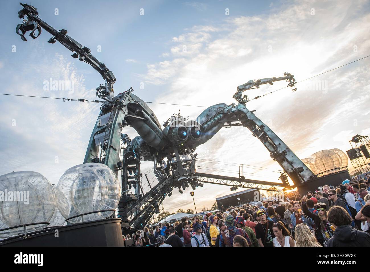 Glastonbury arcadia spider hi-res stock photography and images - Alamy