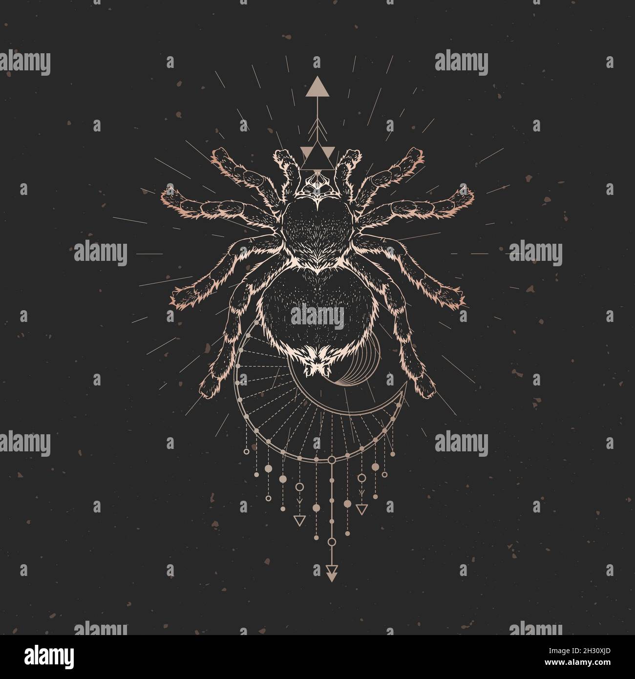 Eye d Stock Vector Images - Alamy