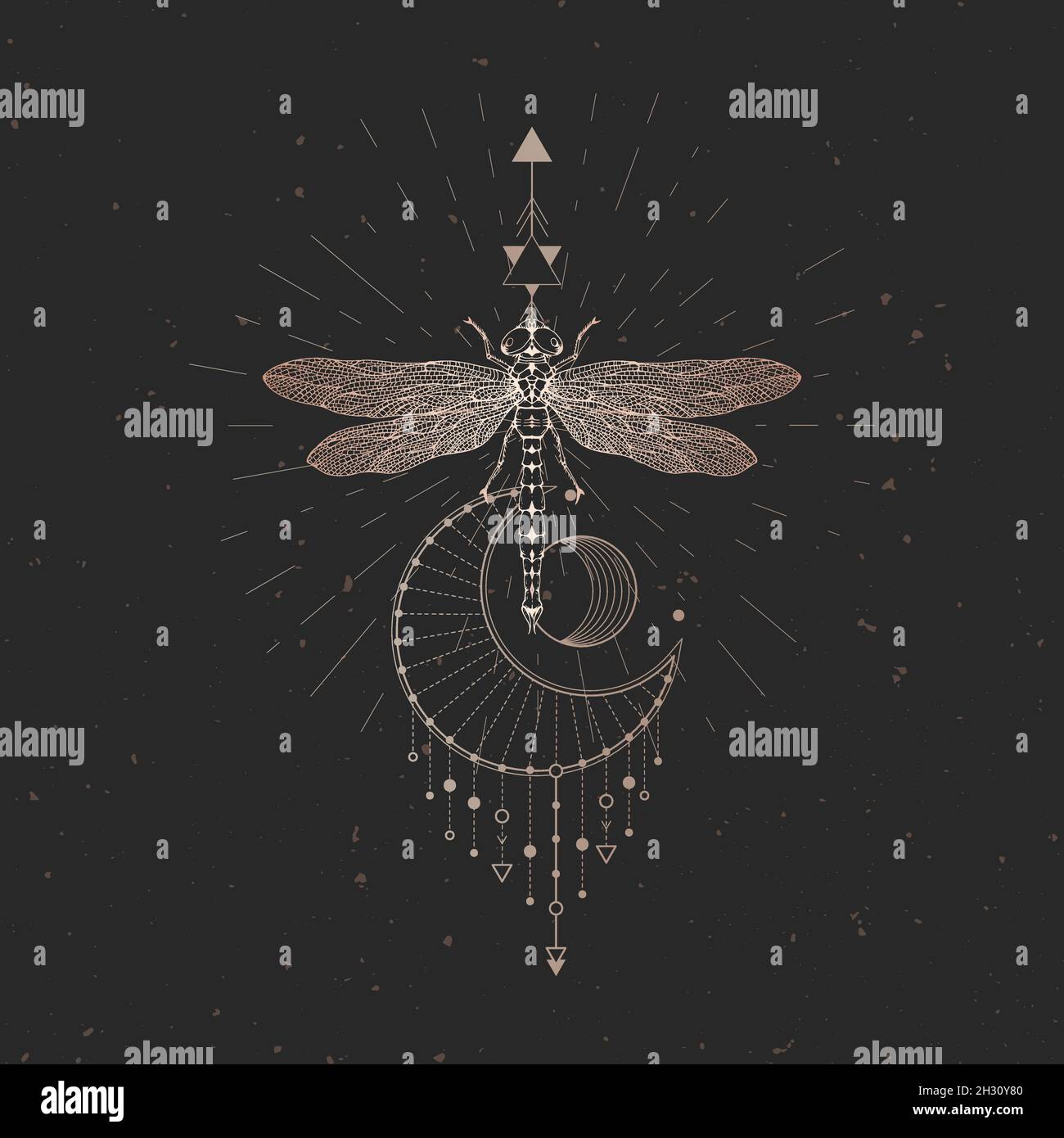 Vector illustration with hand drawn dragonfly and Sacred geometric ...