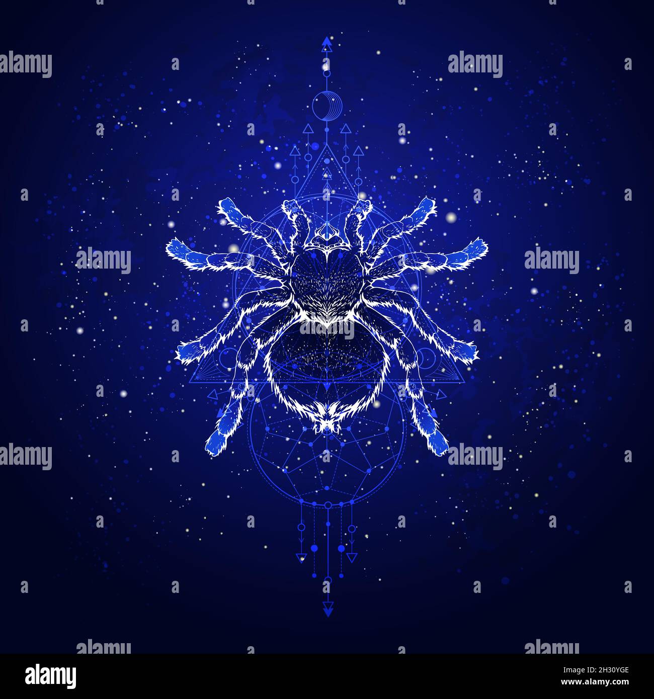 Vector illustration with hand drawn spider tarantula and Sacred ...