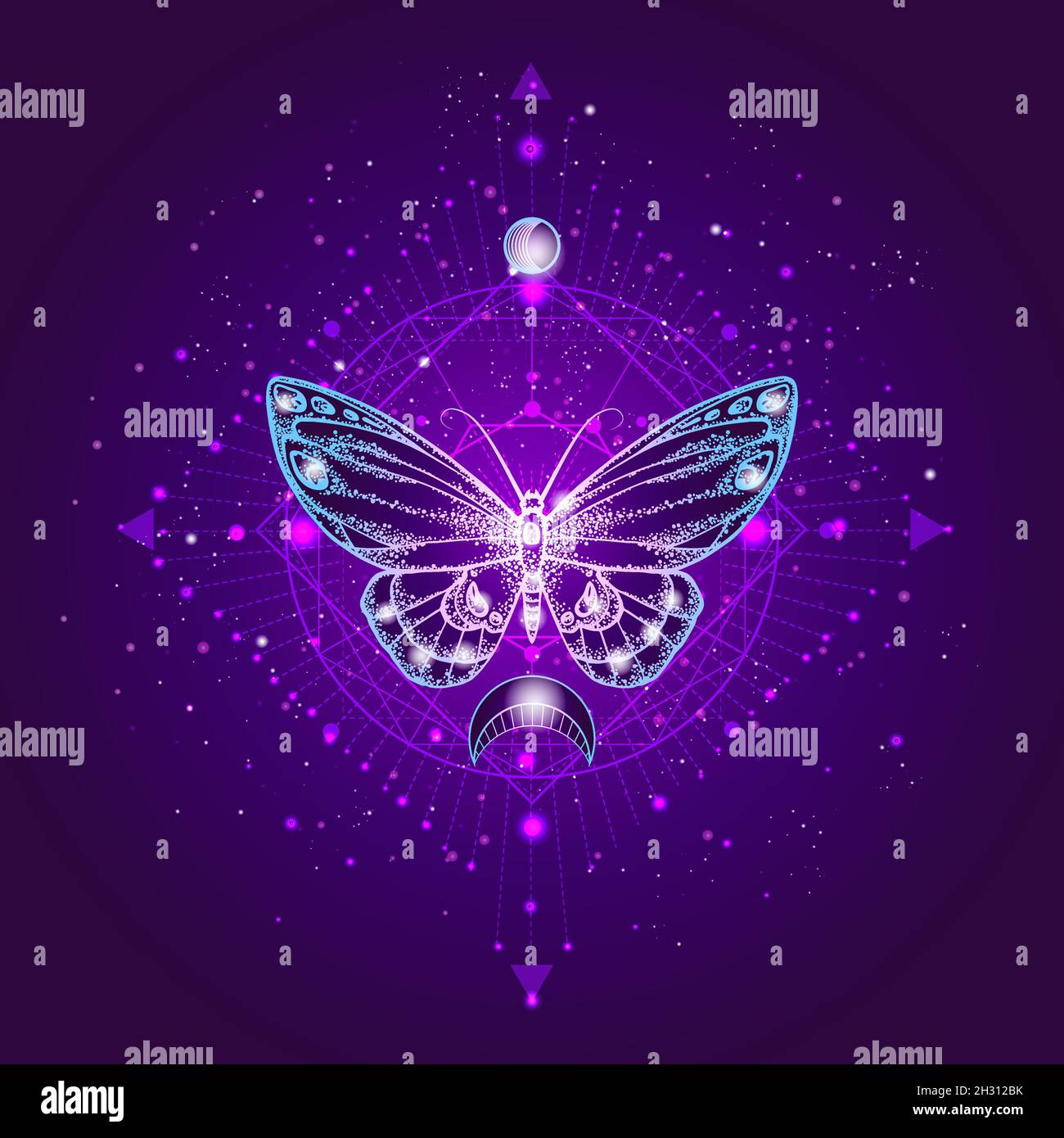 Vector illustration with hand drawn butterfly and Sacred geometric ...