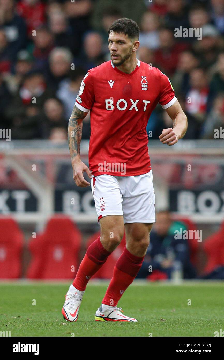 Tobias figueiredo forest hi-res stock photography and images - Alamy