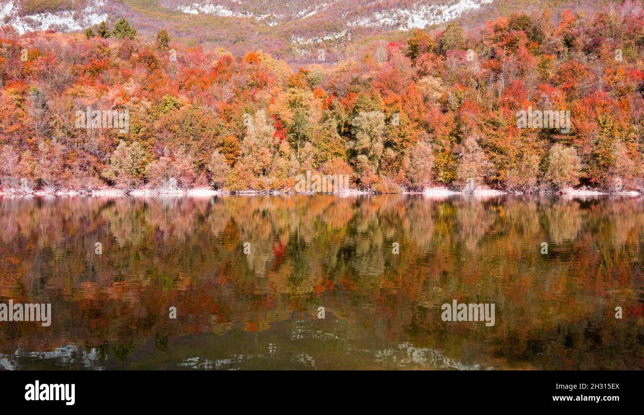fall colors on the lake Stock Photo - Alamy