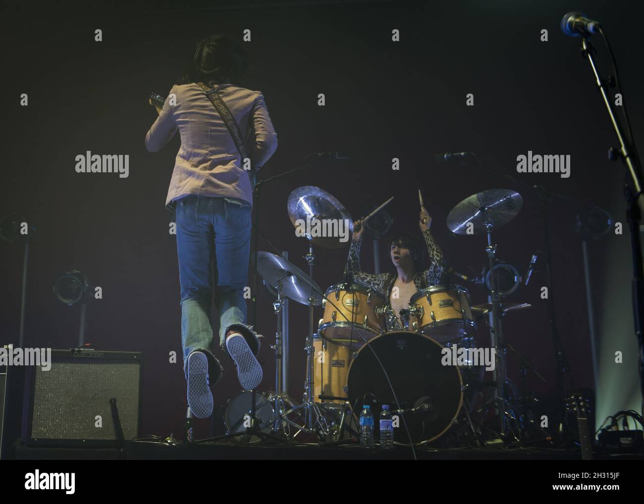 Brian D'Addario and Michael D'Addario of The Lemon Twigs perform live ...