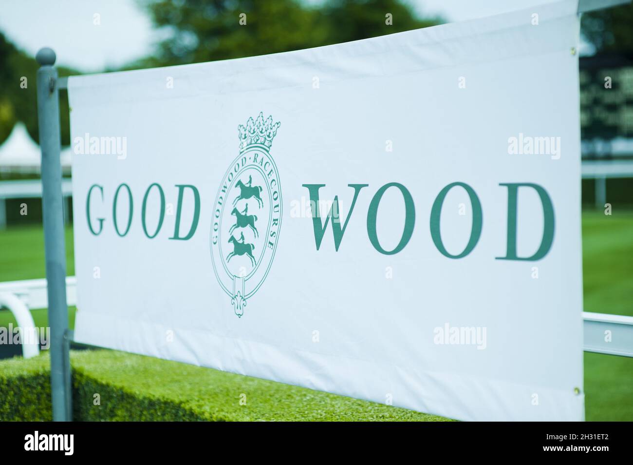 Goodwood racecourse general view hi-res stock photography and images ...