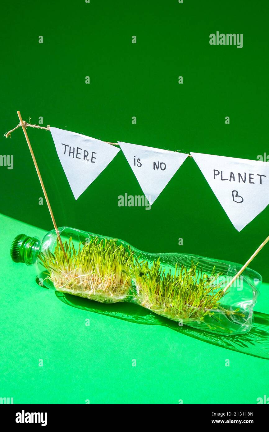 THERE IS NO PLANET B Young green plants in plastic bottle. Ecology and ...
