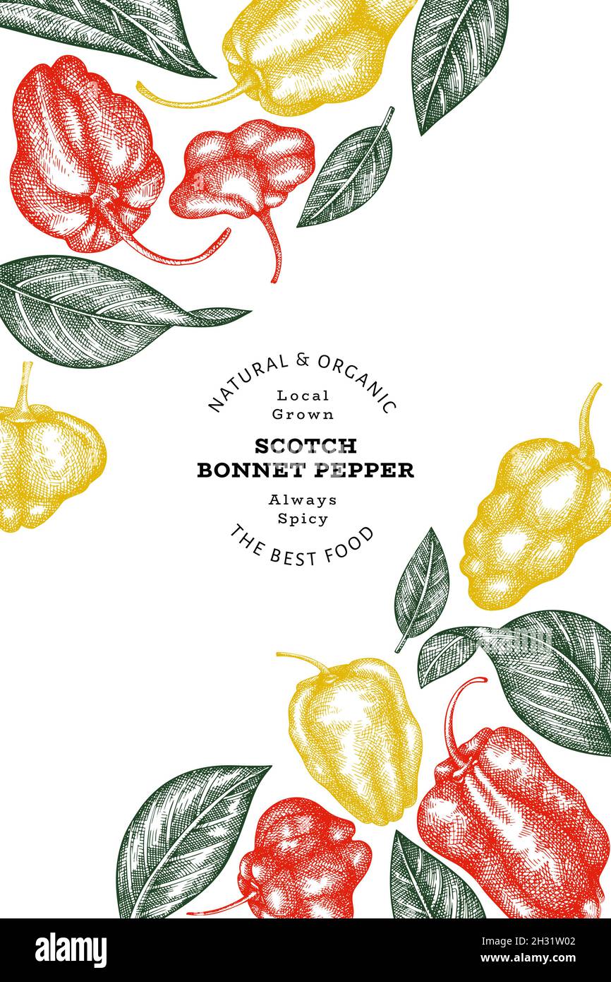 Hand drawn sketch style scotch bonnet pepper banner. Organic fresh ...
