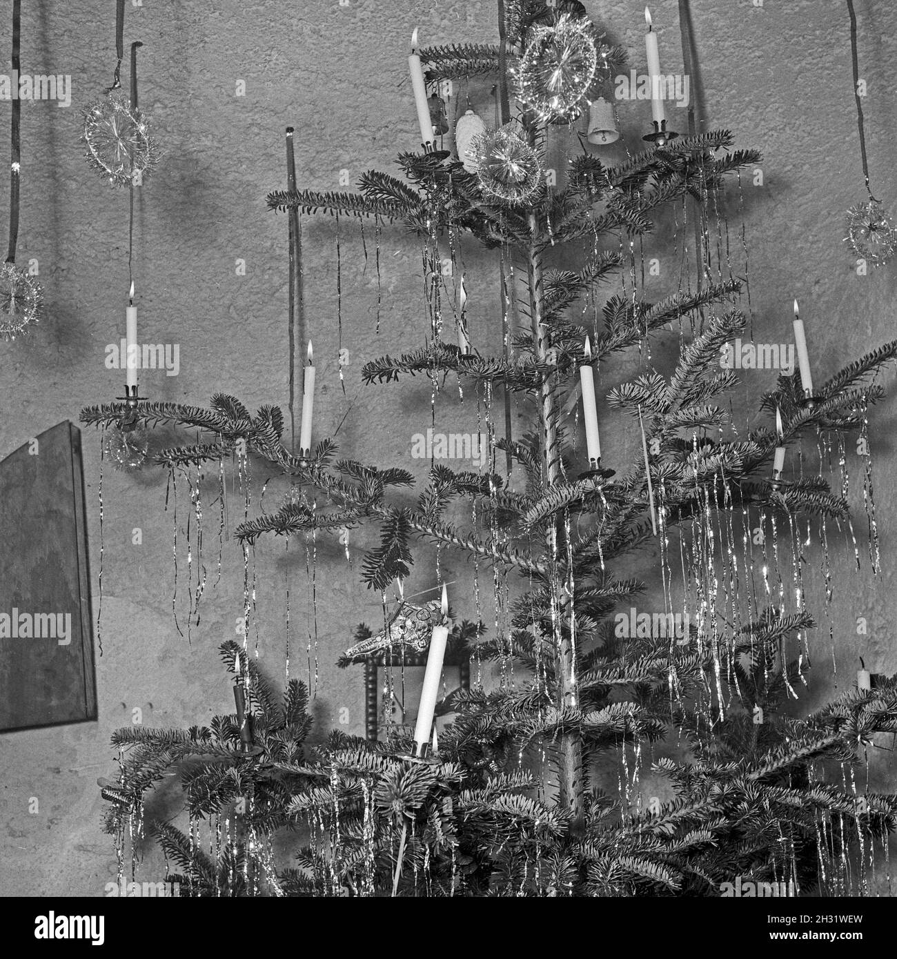 Weihnachtsbaum zum Fest, Deutschland 1954. Christmas tree for the ...