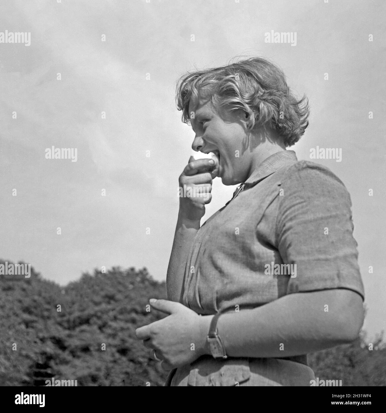 Eine Frau isst einen Apfel bei der Apfelernte, Deutschland 1955. A ...