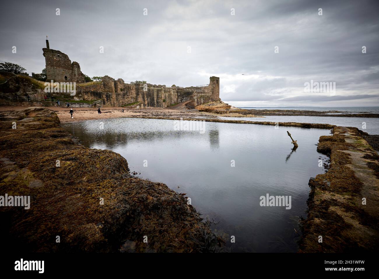 Edinburgh, Scotland, St Andrews CASTLE in Fife Stock Photo - Alamy