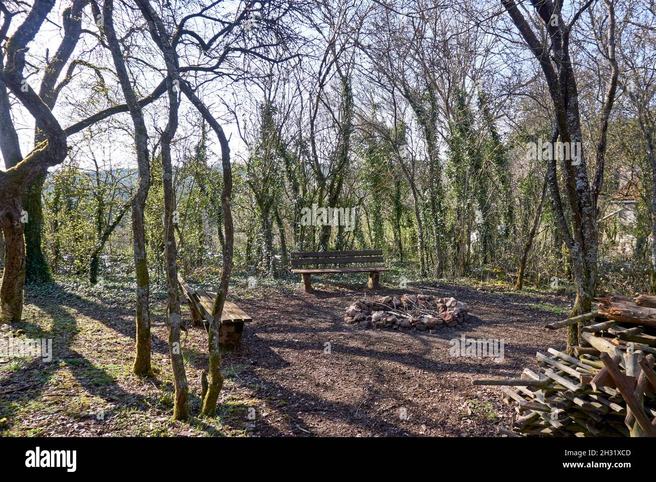 place for a campfire in the woods. a circle of stones for a picnic in ...