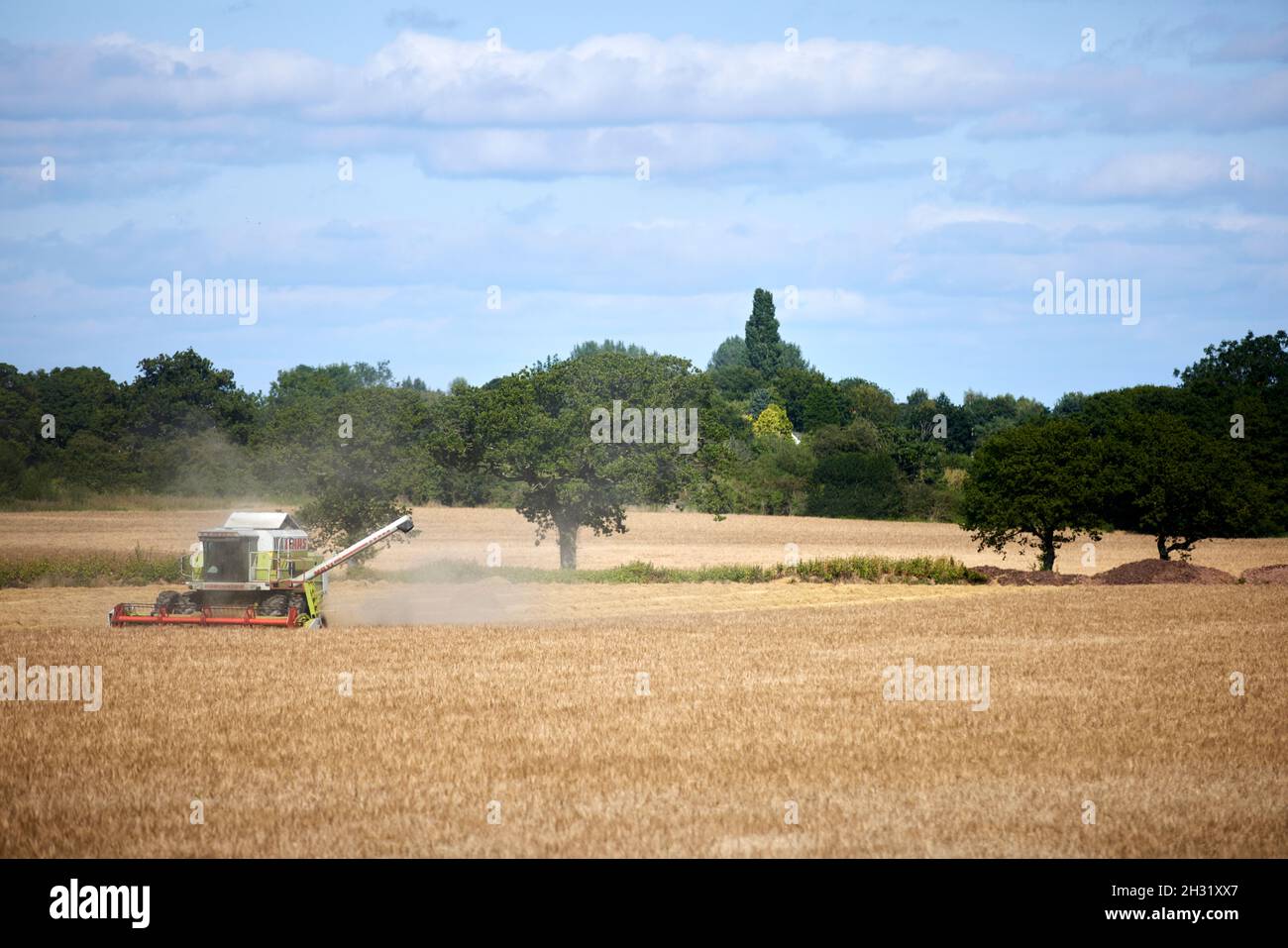 Combine harvester working a rice field hi-res stock photography and ...