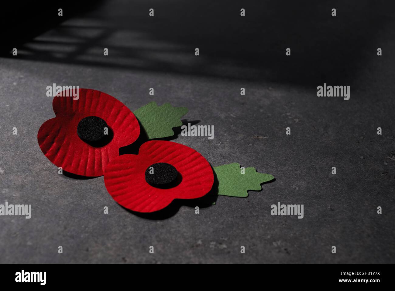 World War remembrance day. Red poppy is symbol of remembrance to those ...