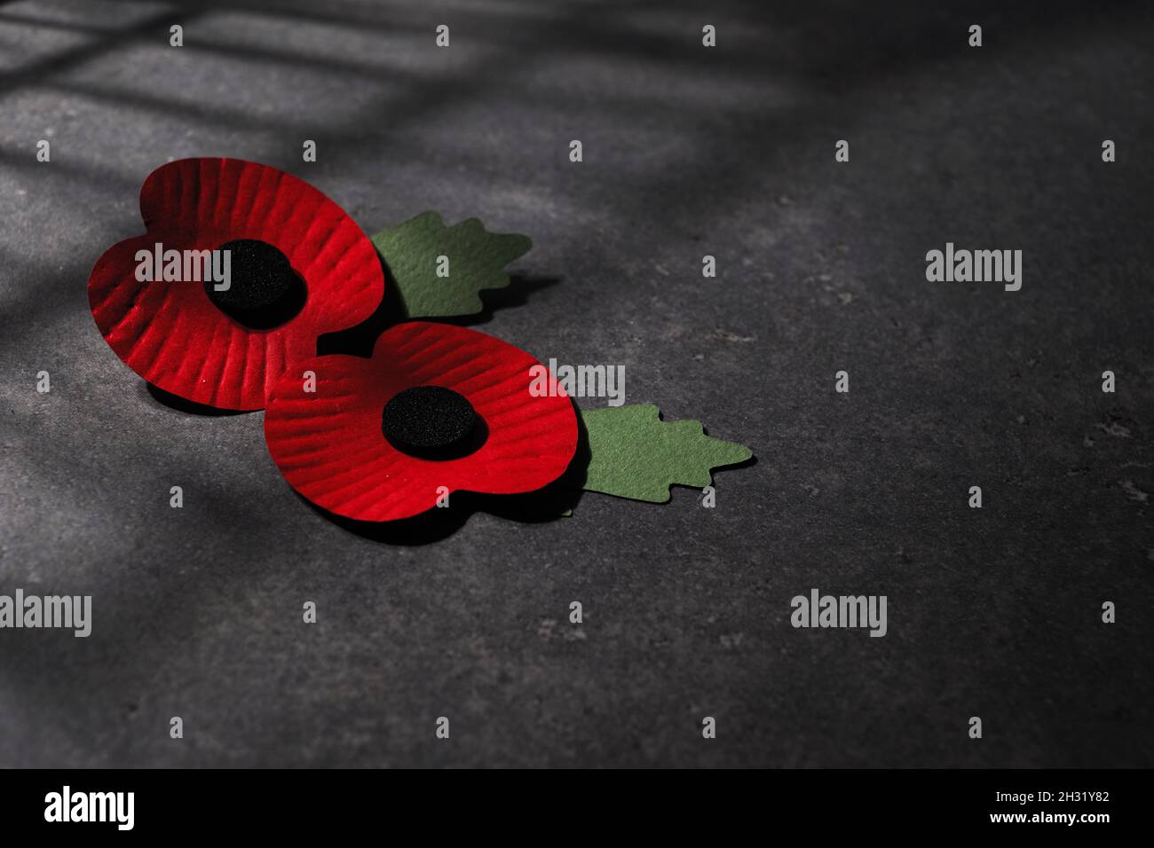 World War remembrance day. Red poppy is symbol of remembrance to those ...