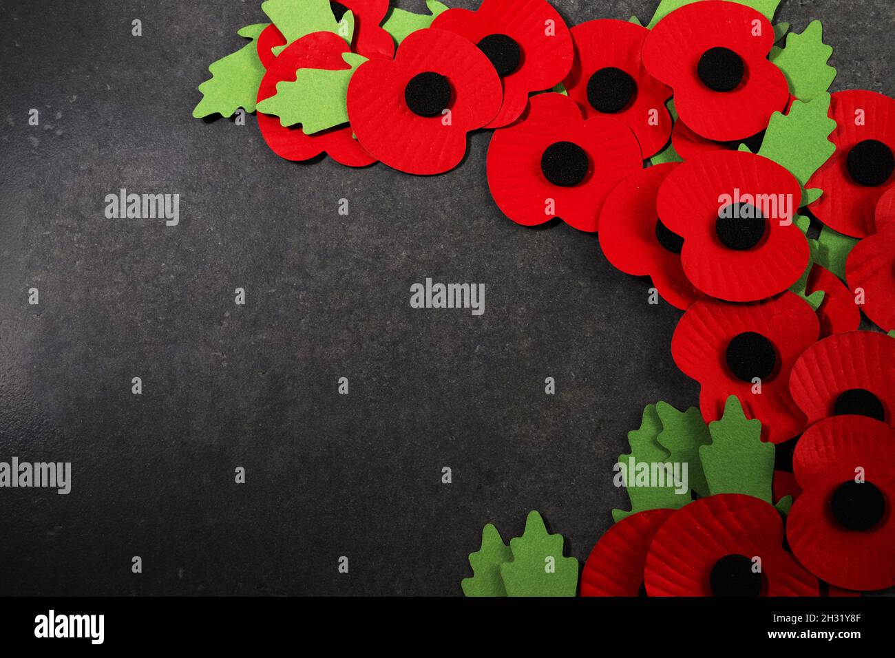 World War remembrance day. Red poppy is symbol of remembrance to those ...