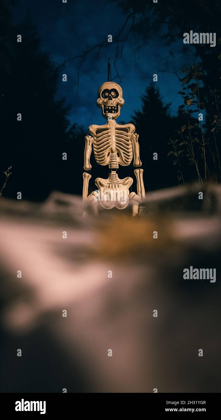 Human skeleton on stand hi-res stock photography and images - Alamy