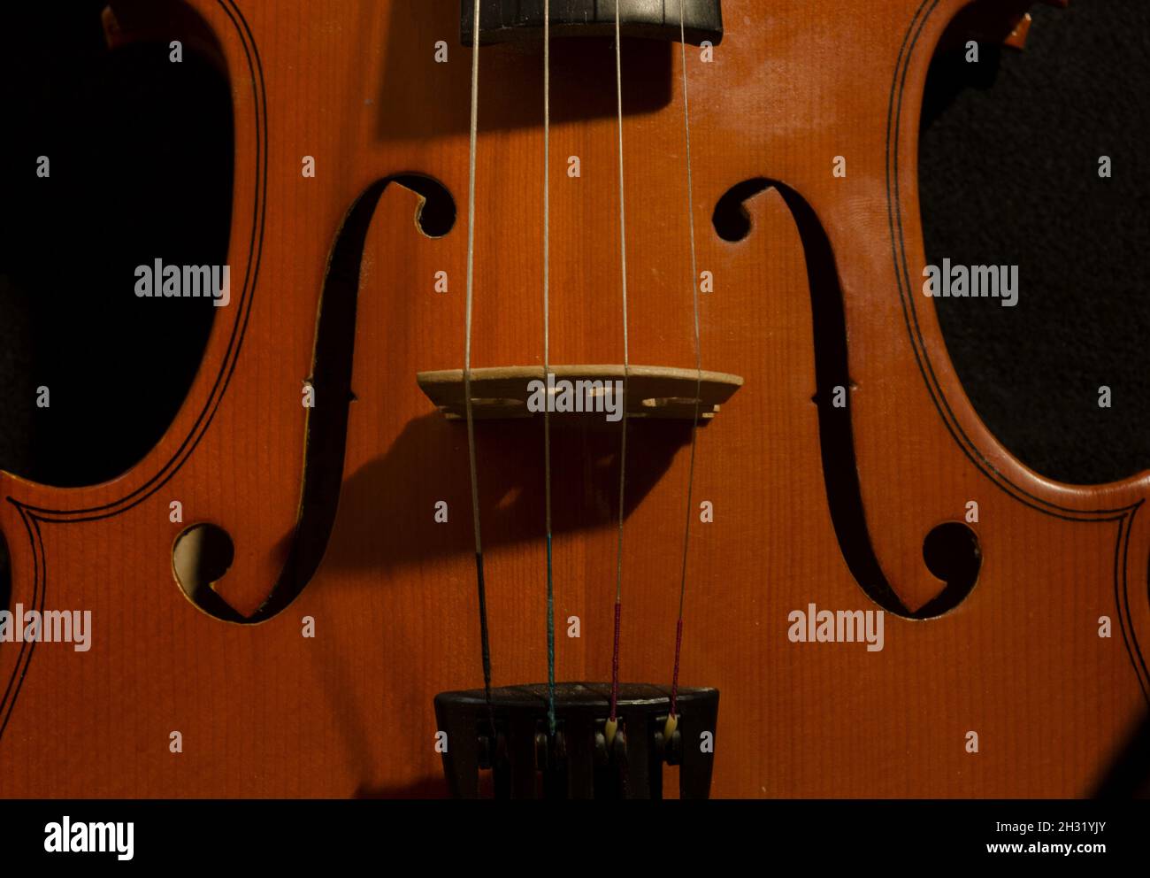Violin front view isolated on hi-res stock photography and images - Alamy
