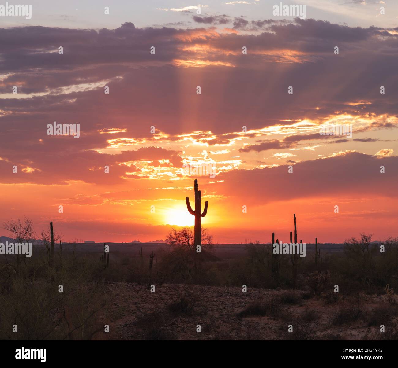 Landscapefield hi-res stock photography and images - Alamy