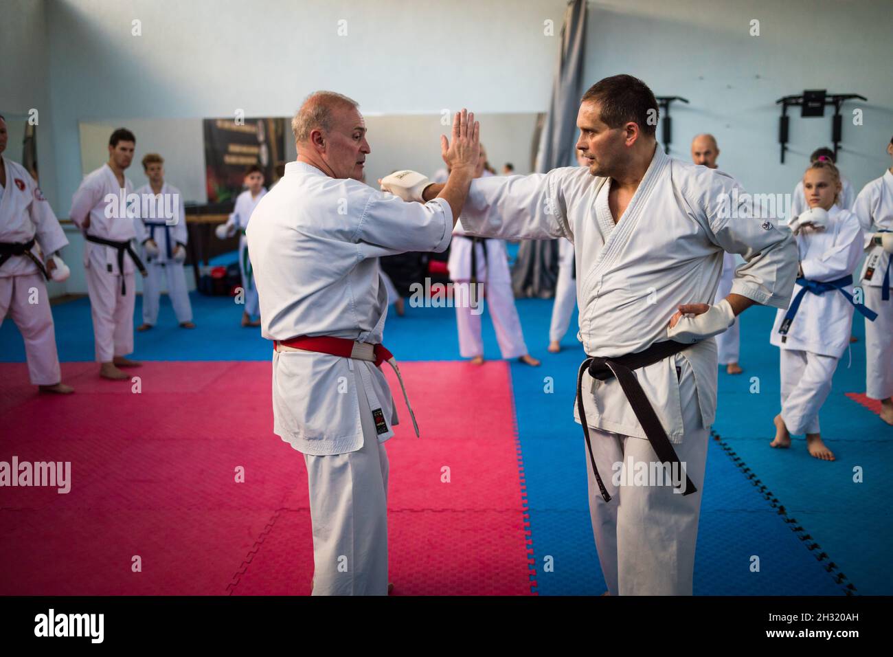 Shotokan Karate Moves