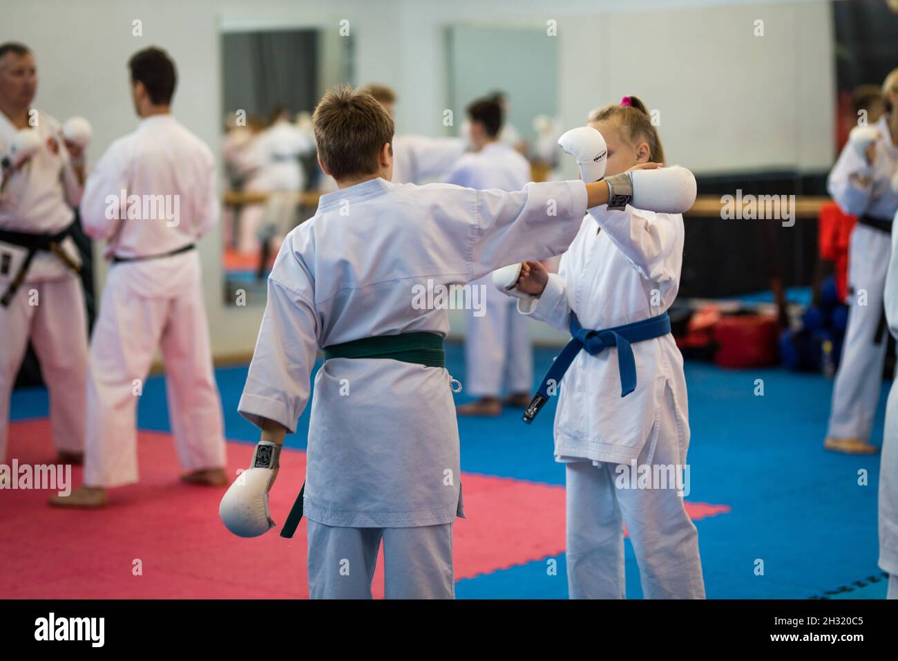 Shotokan Karate Techniques
