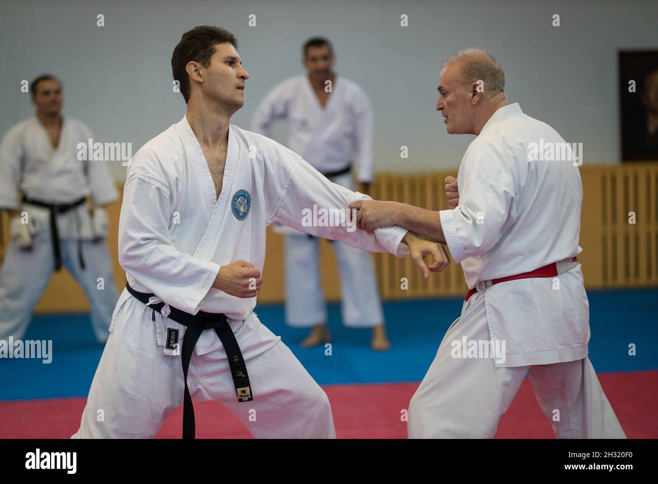 October 23, 2021, Minsk, Belarus, Shotokan Karate Technical Seminar ...
