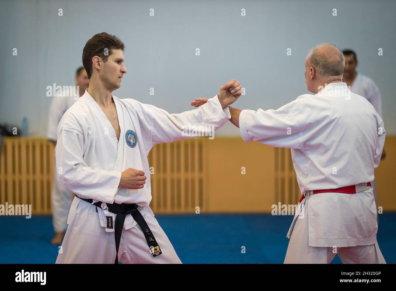 October 23, 2021, Minsk, Belarus, Shotokan Karate Technical Seminar ...