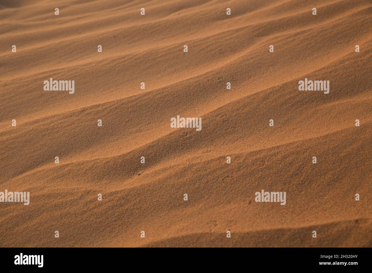 Sahara desert sand texture Stock Photo - Alamy