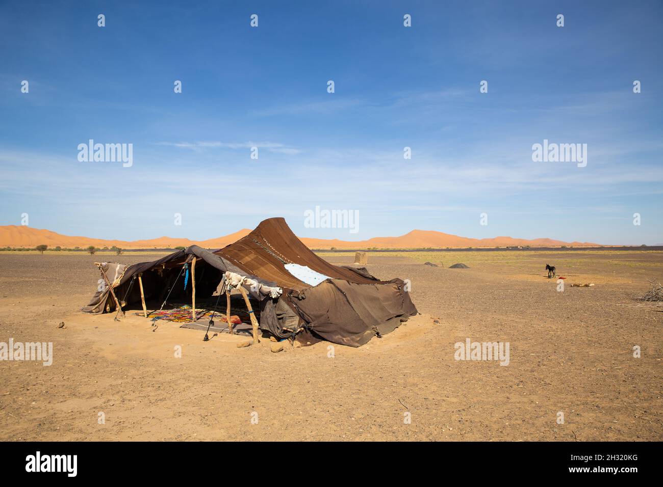 A traditional haima made of natural materials in the Sahara desert ...