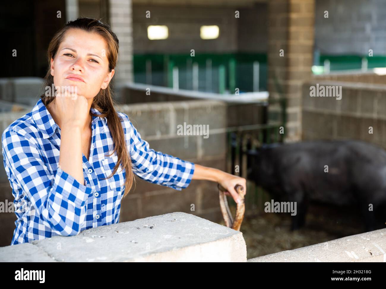 Pig farmer in factory farm hi-res stock photography and images - Alamy