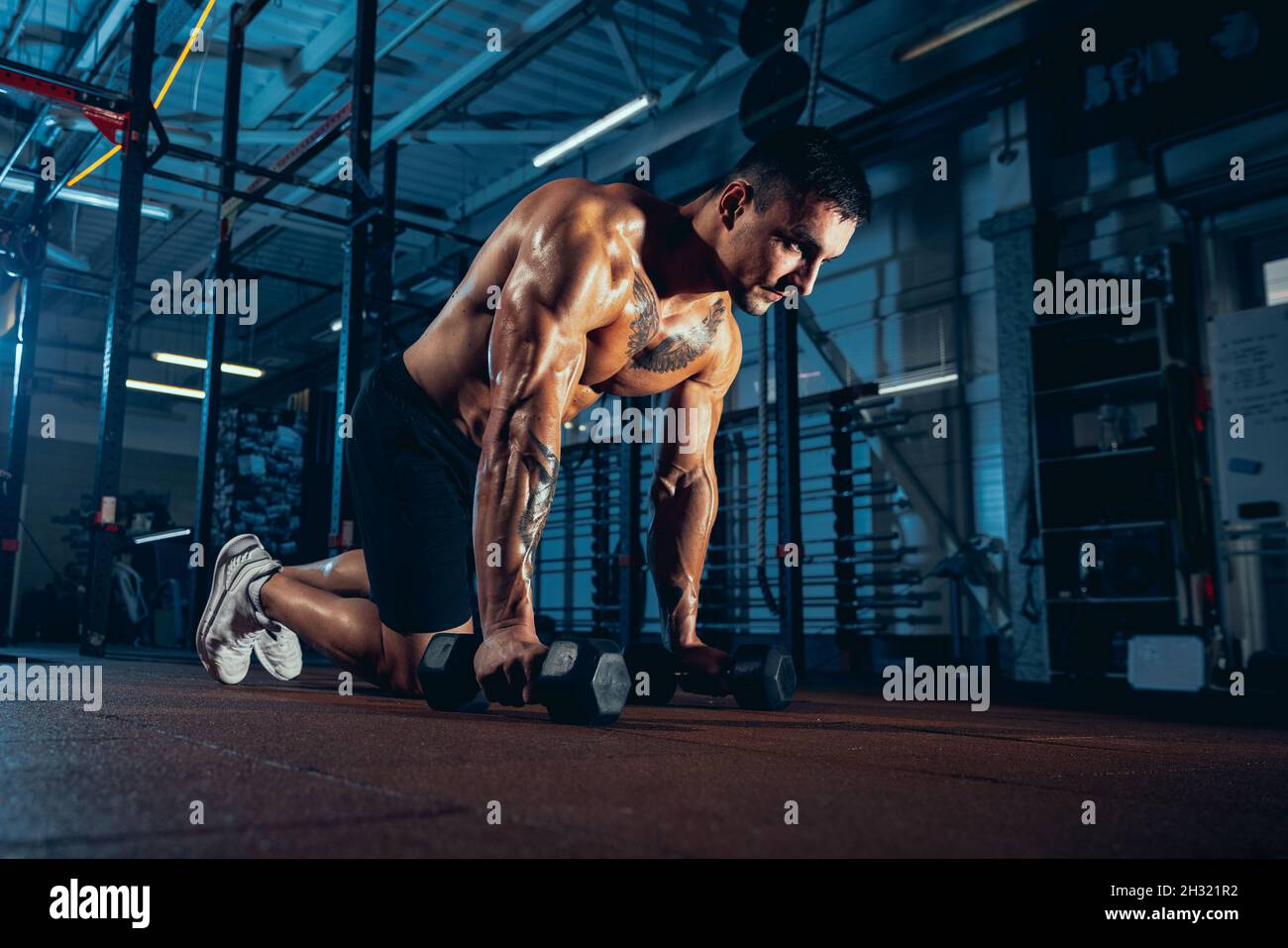 Portrait of muscled athlete, bodybuilder workouts alone at sport gym ...