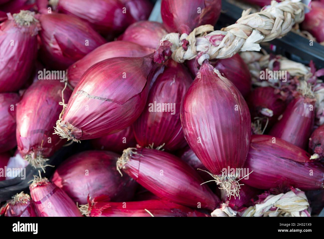 Onion italy hi-res stock photography and images - Alamy