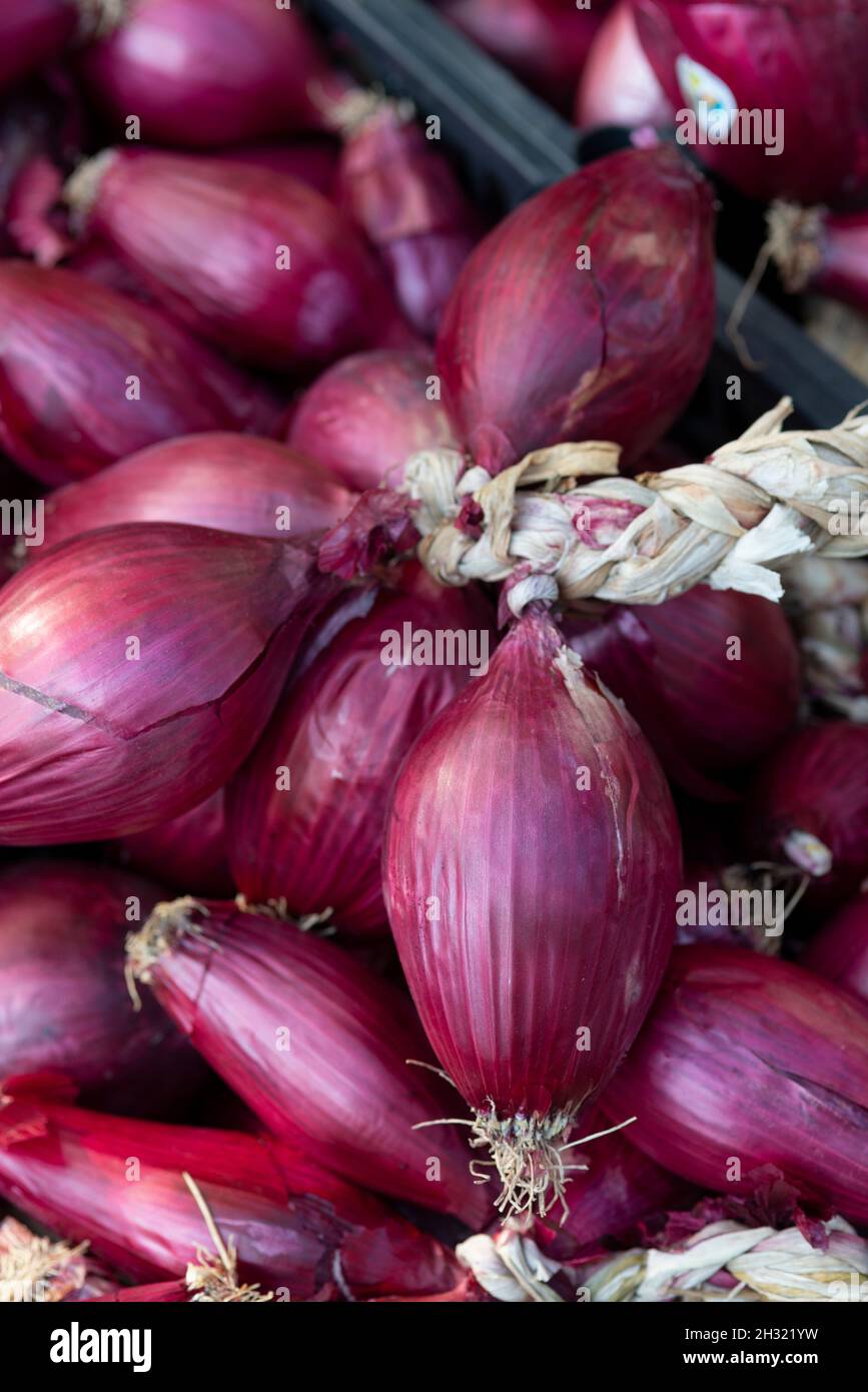 Italy, Street Market, Display of Tropea Red Onions Stock Photo - Alamy