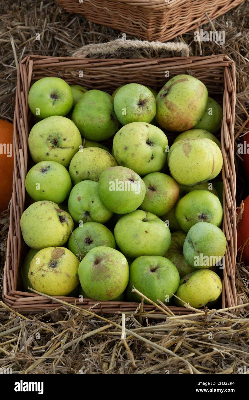 Domestic fruits hi-res stock photography and images - Alamy