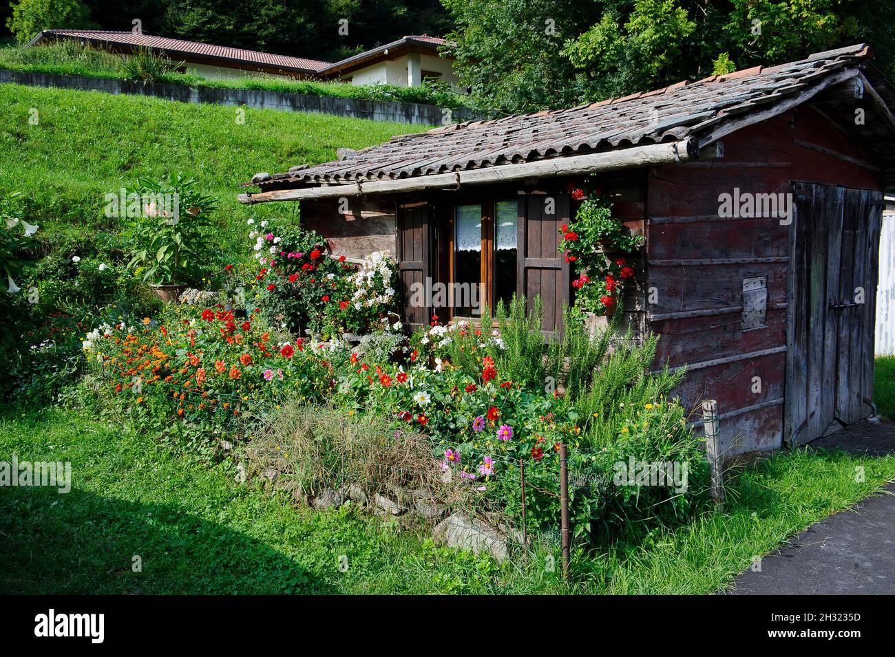Lasco image hi-res stock photography and images - Alamy