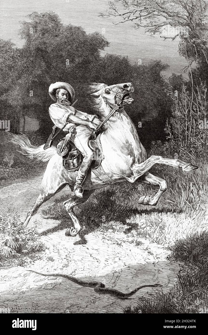 Postal service on horseback. Queensland, Australia. Old 19th century ...