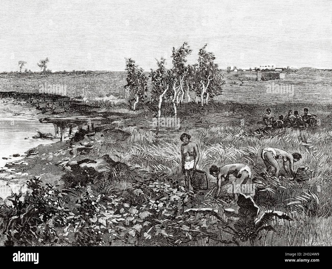 Australian aborigine group 1800 hi-res stock photography and images - Alamy