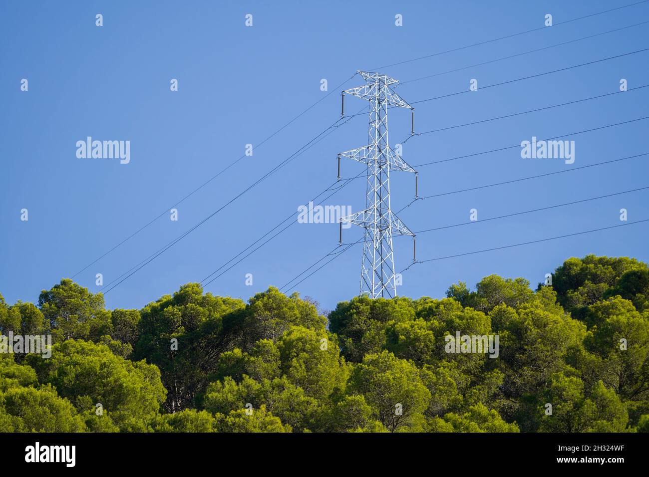 Electric utility Pole with wires, behind forest skyline. Spain Stock ...