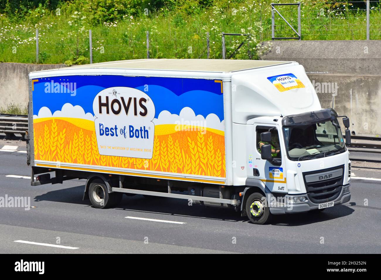 Daf logo hi-res stock photography and images - Alamy