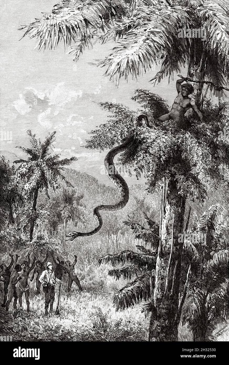 Aboriginal artwork australia snake hi-res stock photography and images ...